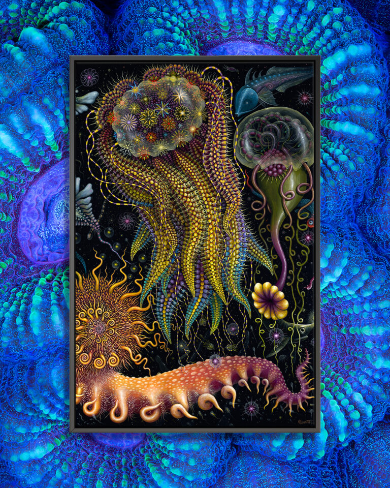 R.S. Connett: Biology Meets Fantasy | iCanvas