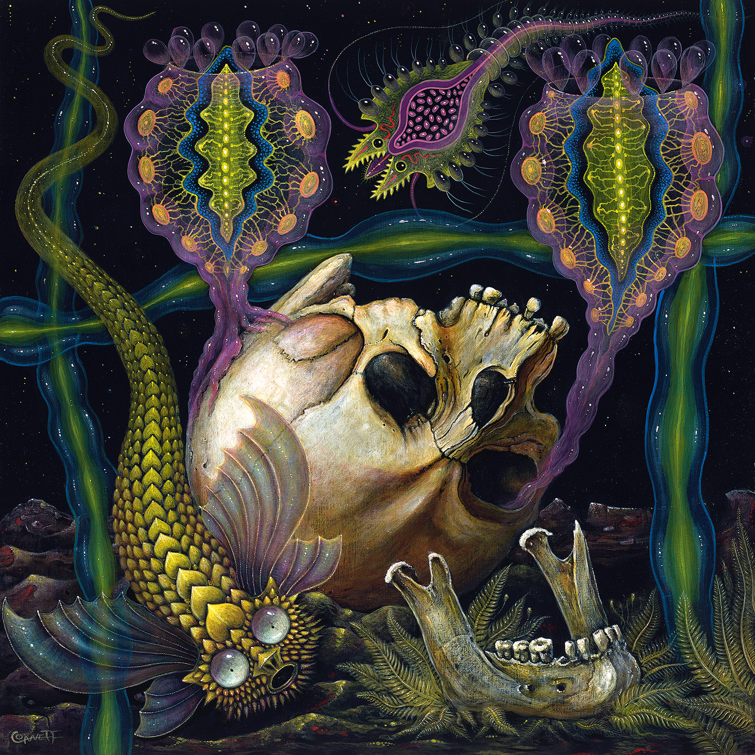 R.S. Connett: Biology Meets Fantasy | iCanvas