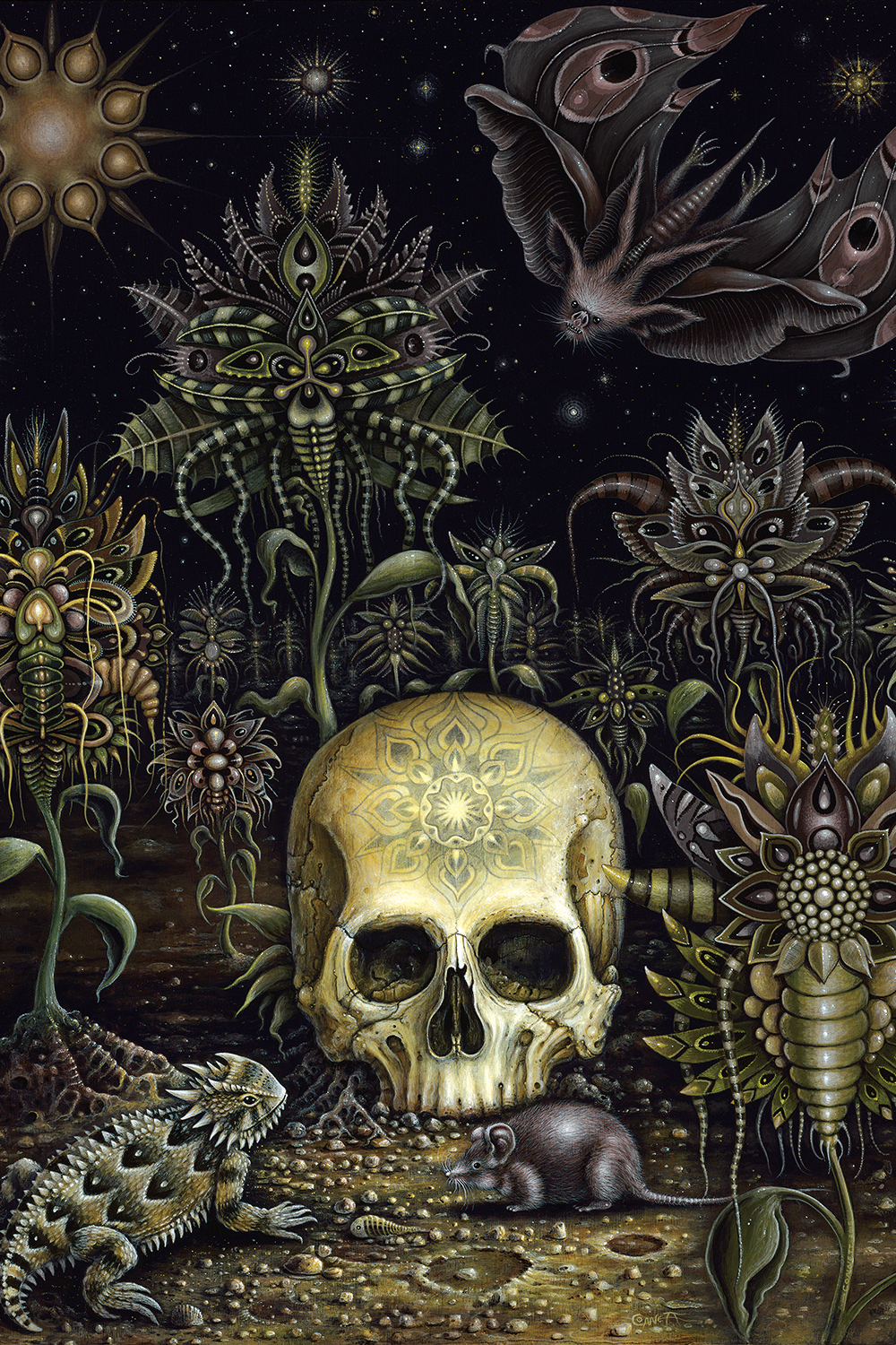 R.S. Connett: Biology Meets Fantasy | iCanvas