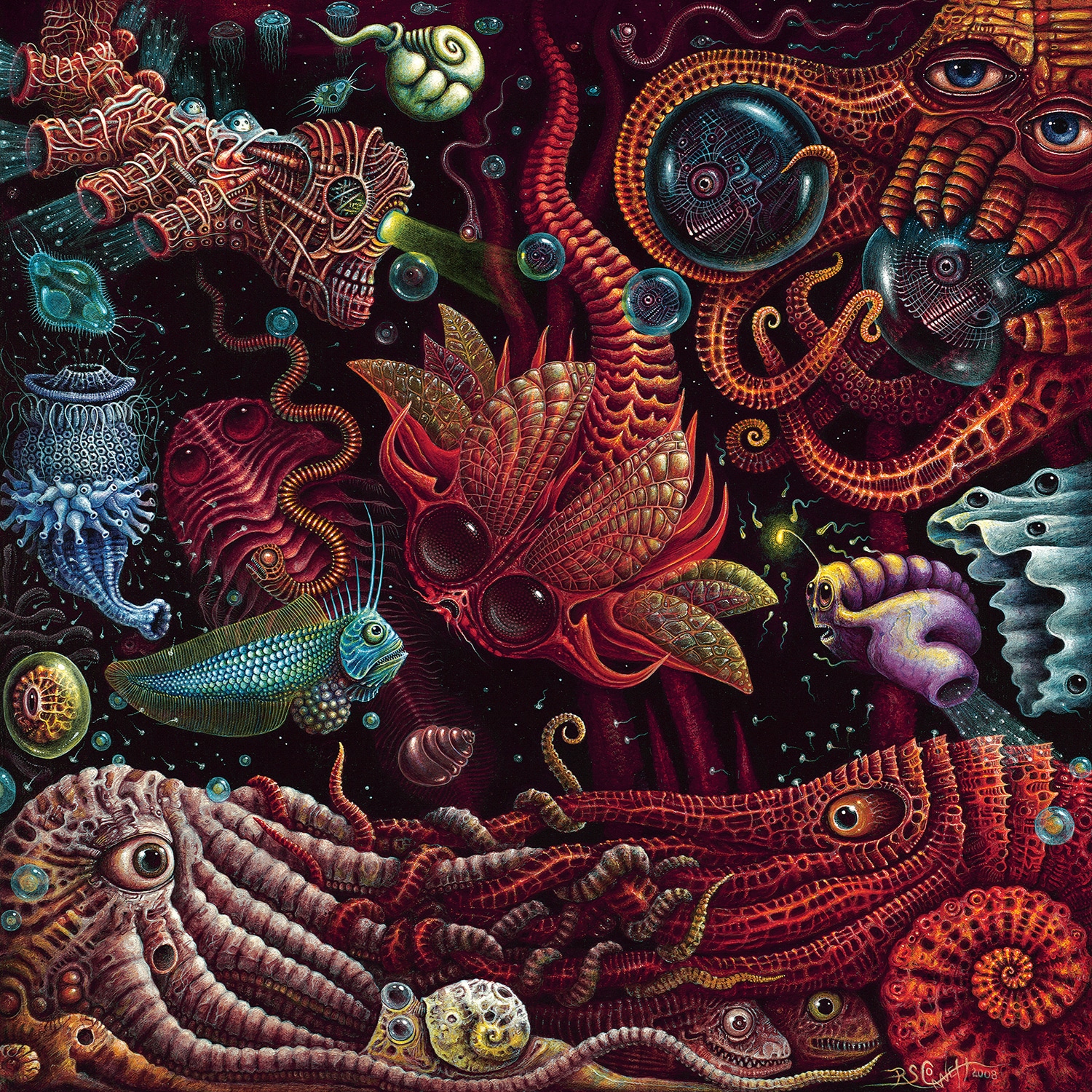 R.S. Connett: Biology Meets Fantasy | iCanvas