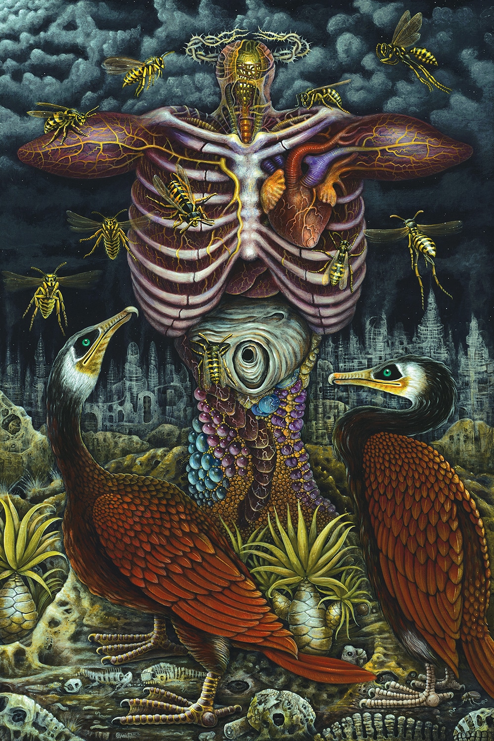 R.S. Connett: Biology Meets Fantasy | iCanvas