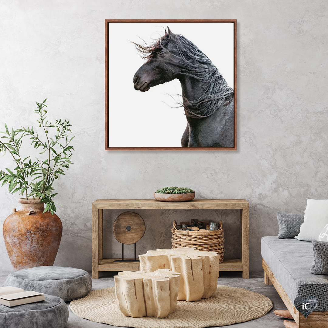 Rupa Sutton: Animal Photography to Melt Your Heart | iCanvas