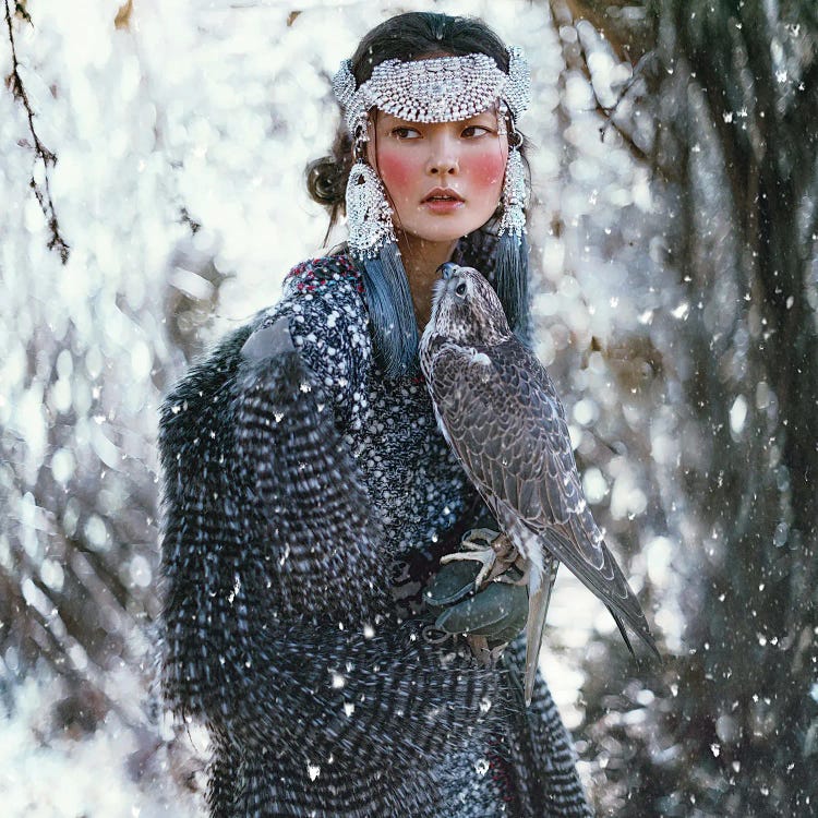 Lillian Liu: Surreal, Mythical Photography | iCanvas