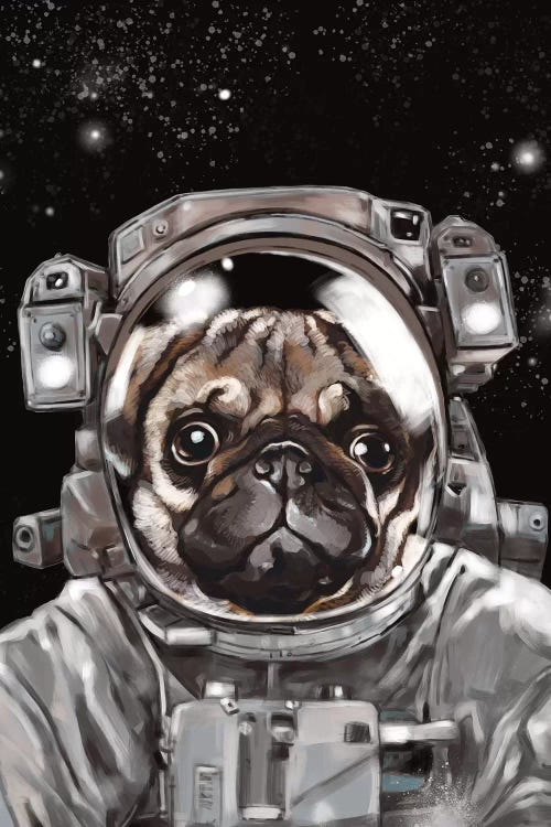 Various Takes on Astronaut Art | iCanvas