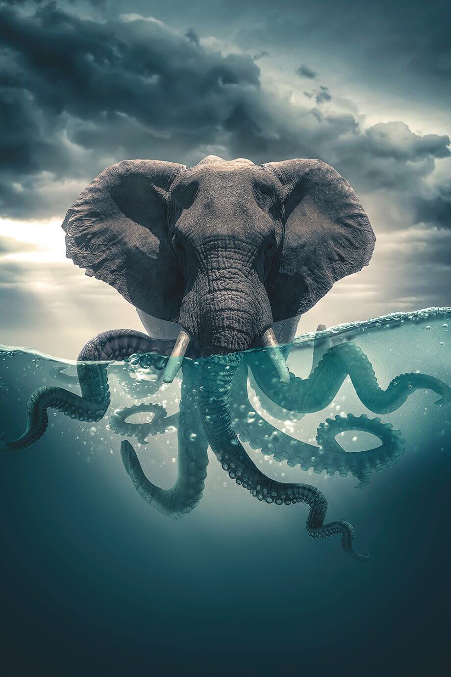Various Takes on Octopus Art | iCanvas