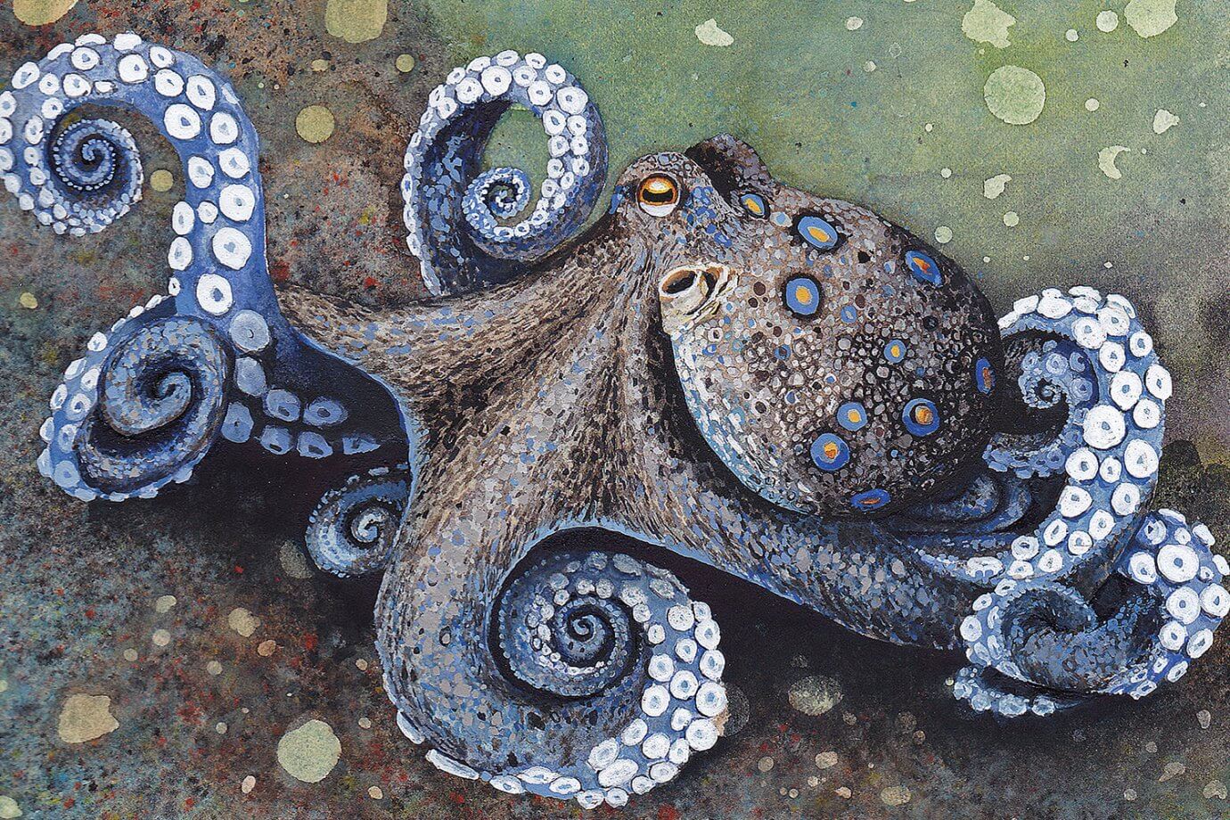 Various Takes on Octopus Art | iCanvas