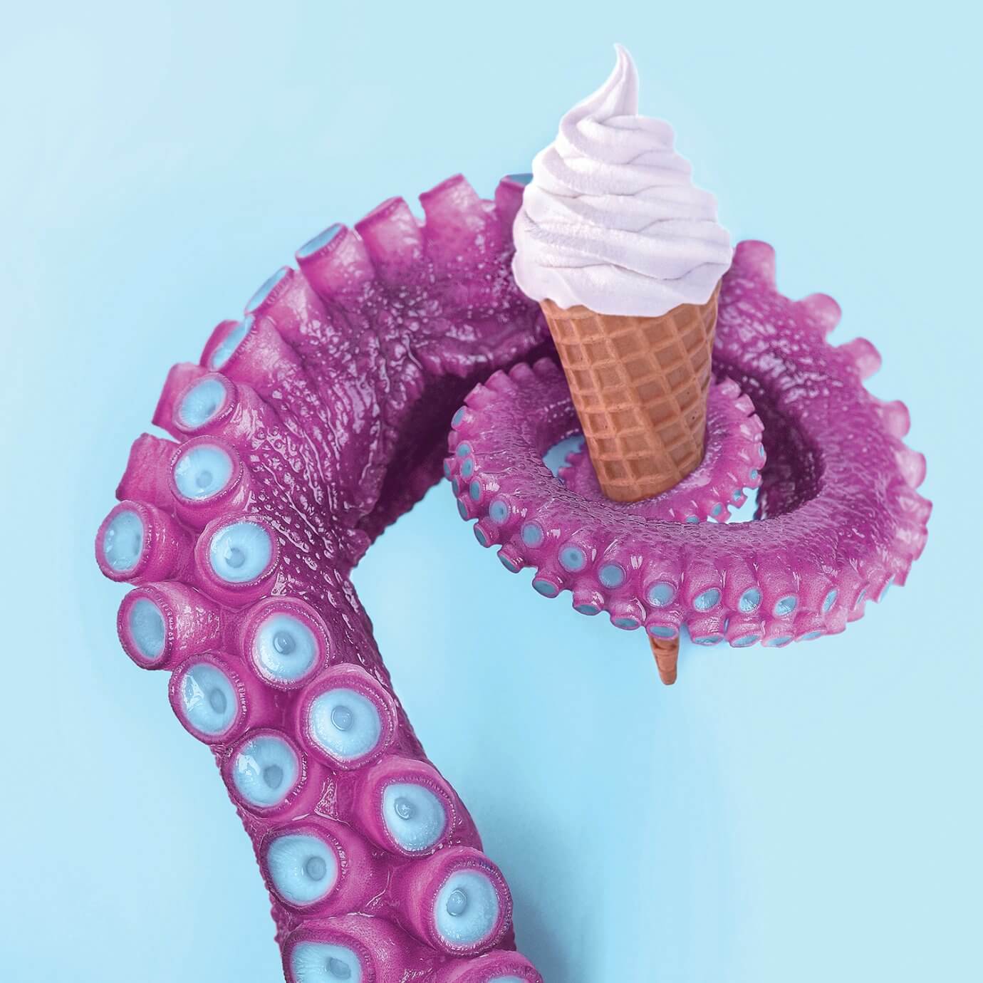 Various Takes on Octopus Art | iCanvas