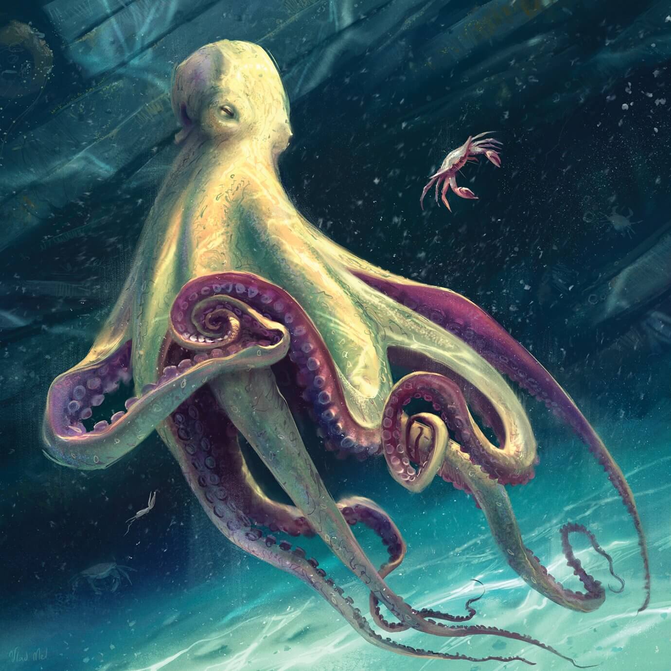 Various Takes on Octopus Art | iCanvas