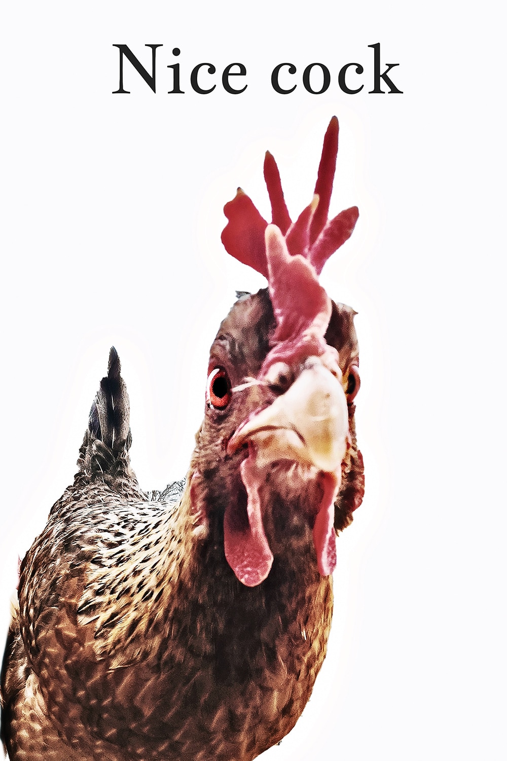 Benefits of Art: How Humorous Art Can Improve Your Health | iCanvas