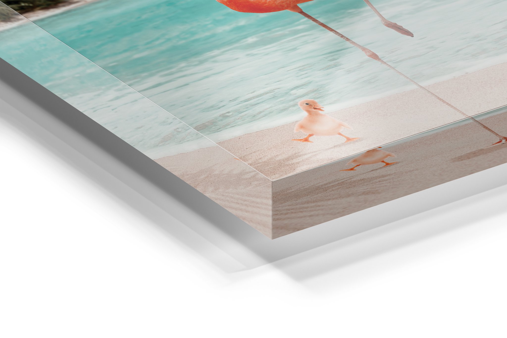NEW! iCanvas Acrylic Glass Prints | iCanvas