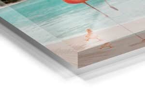 NEW! iCanvas Acrylic Glass Prints | iCanvas