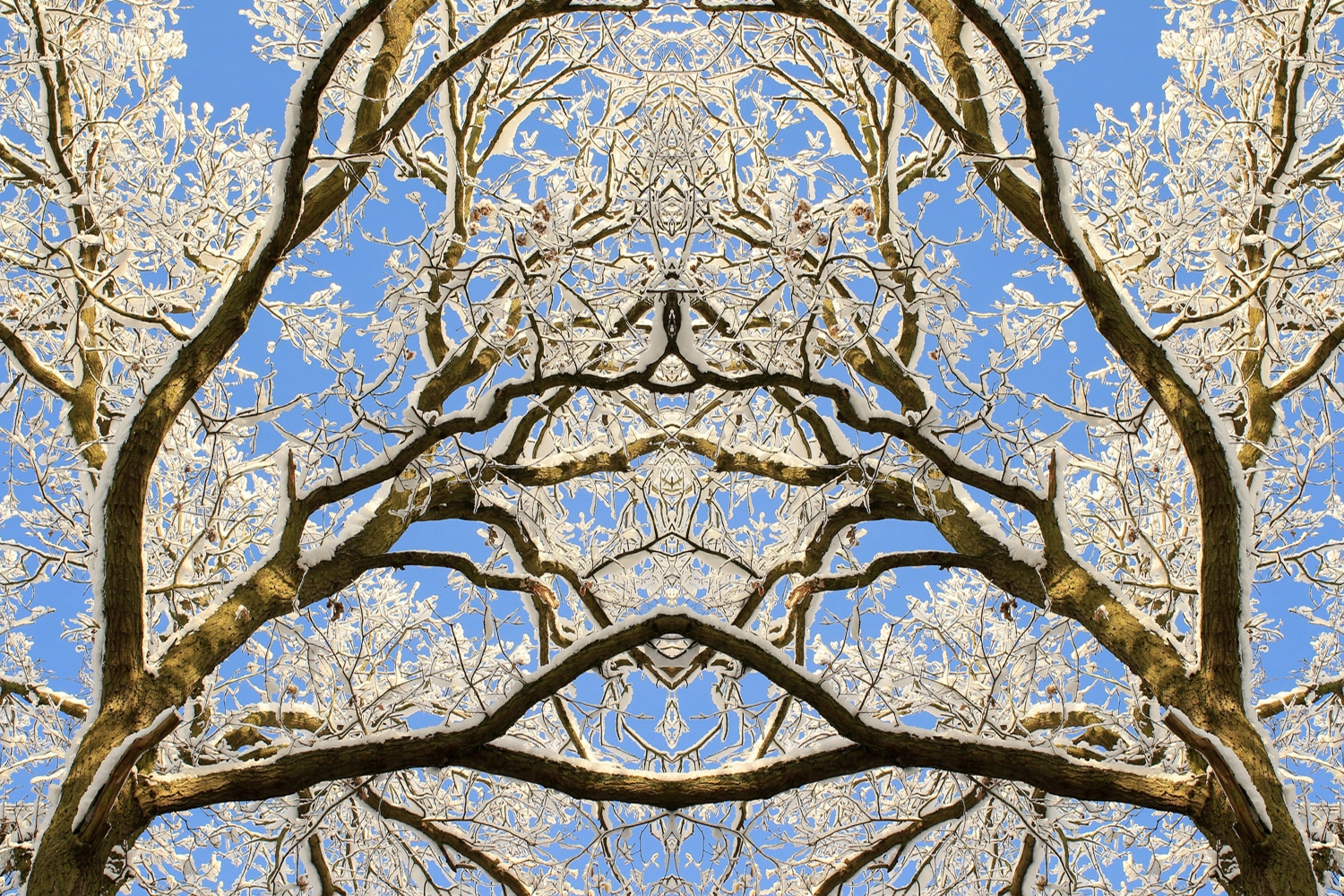 Benefits of Art: Symmetrical Prints to Soothe Your Mood | iCanvas | iCanvas