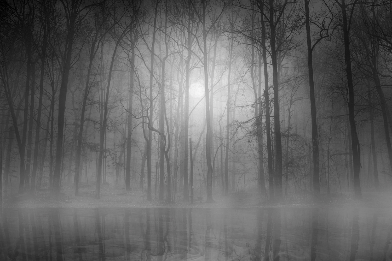 Horror Art Ideas: Set the Perfect Spooky Mood in Any Room | iCanvas ...